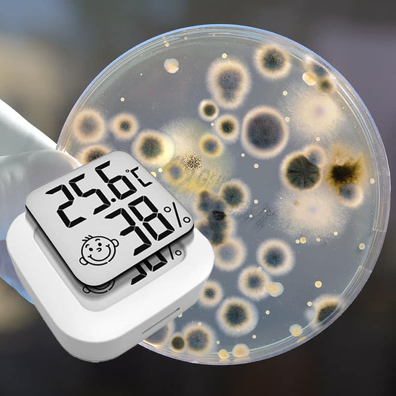 Promotional offer | Test for mould and check humidity | Buy here